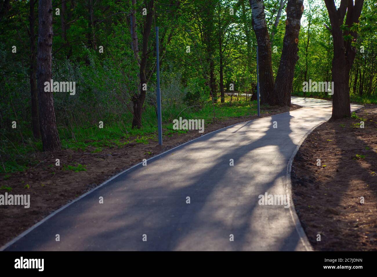 Asphalt pathway in the park . Pedestrian road to nature Stock Photo - Alamy