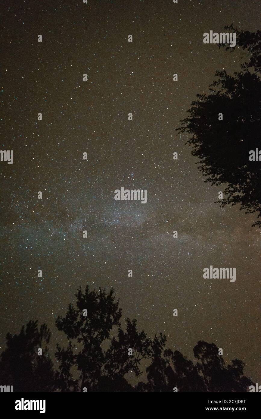 Vertical shot of the beautiful Milky Way galaxy - great for a cool ...