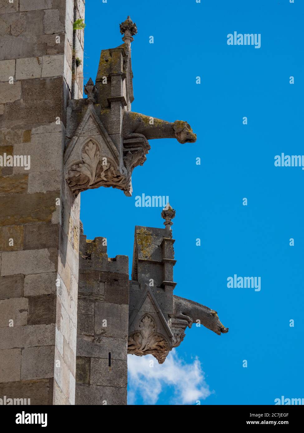 Pretty Gargoyle High Resolution Stock Photography and Images - Alamy