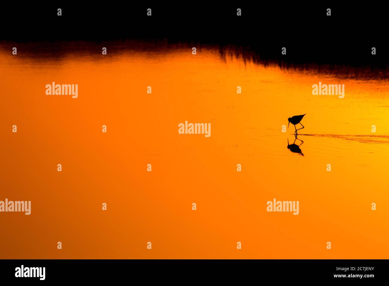 Sunset nature and birds. Colorful sunset nature background Stock Photo ...