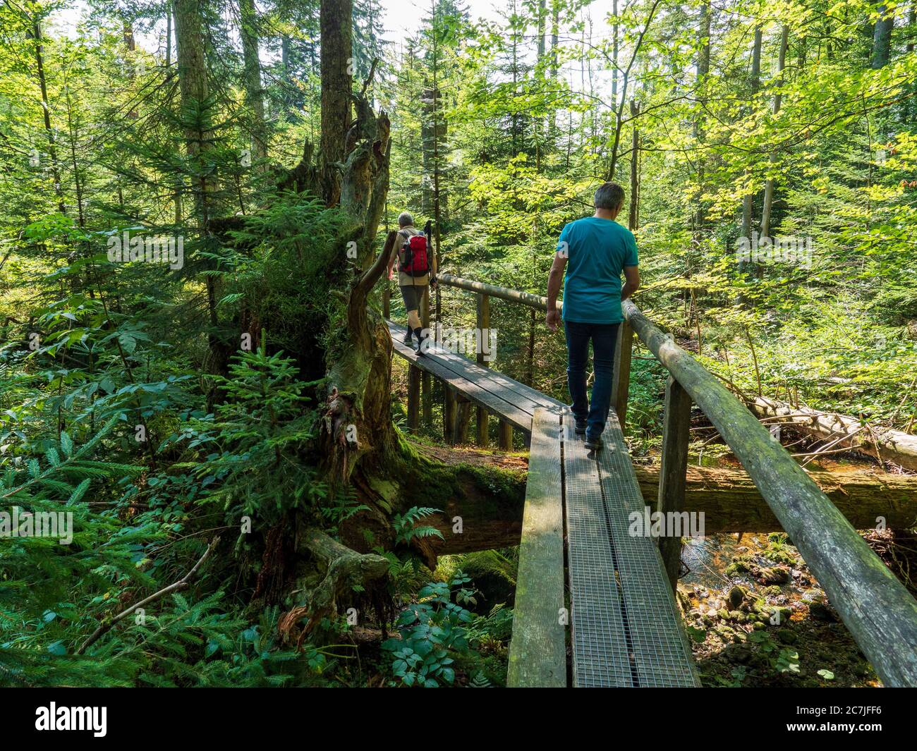 Seelensteig hi-res stock photography and images - Alamy