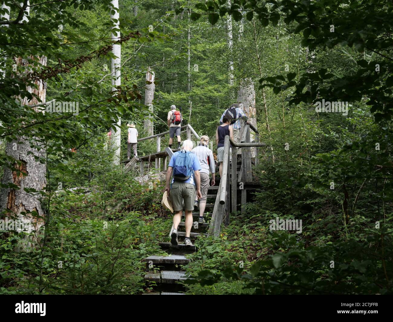 State park guide hi-res stock photography and images - Alamy
