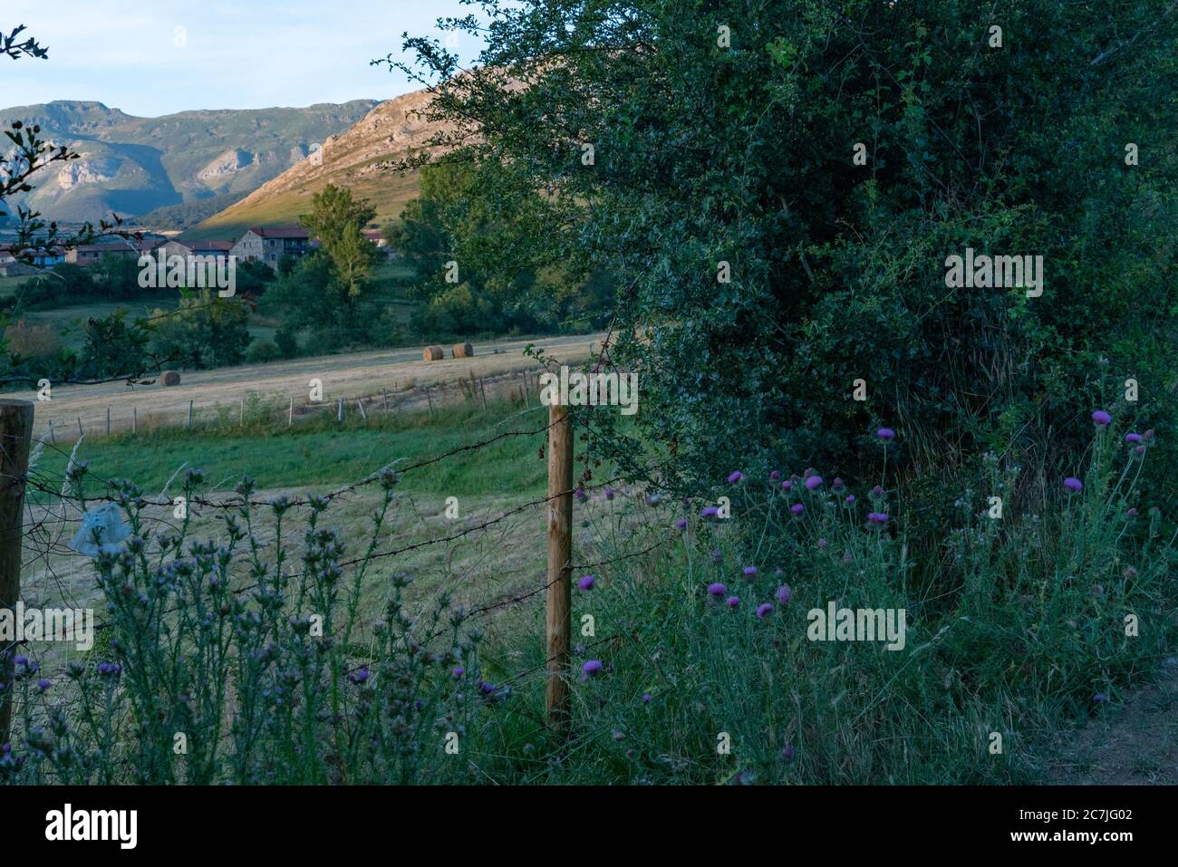 Hiking route through the Peña Tremaya. Palencia. Spain Stock Photo - Alamy