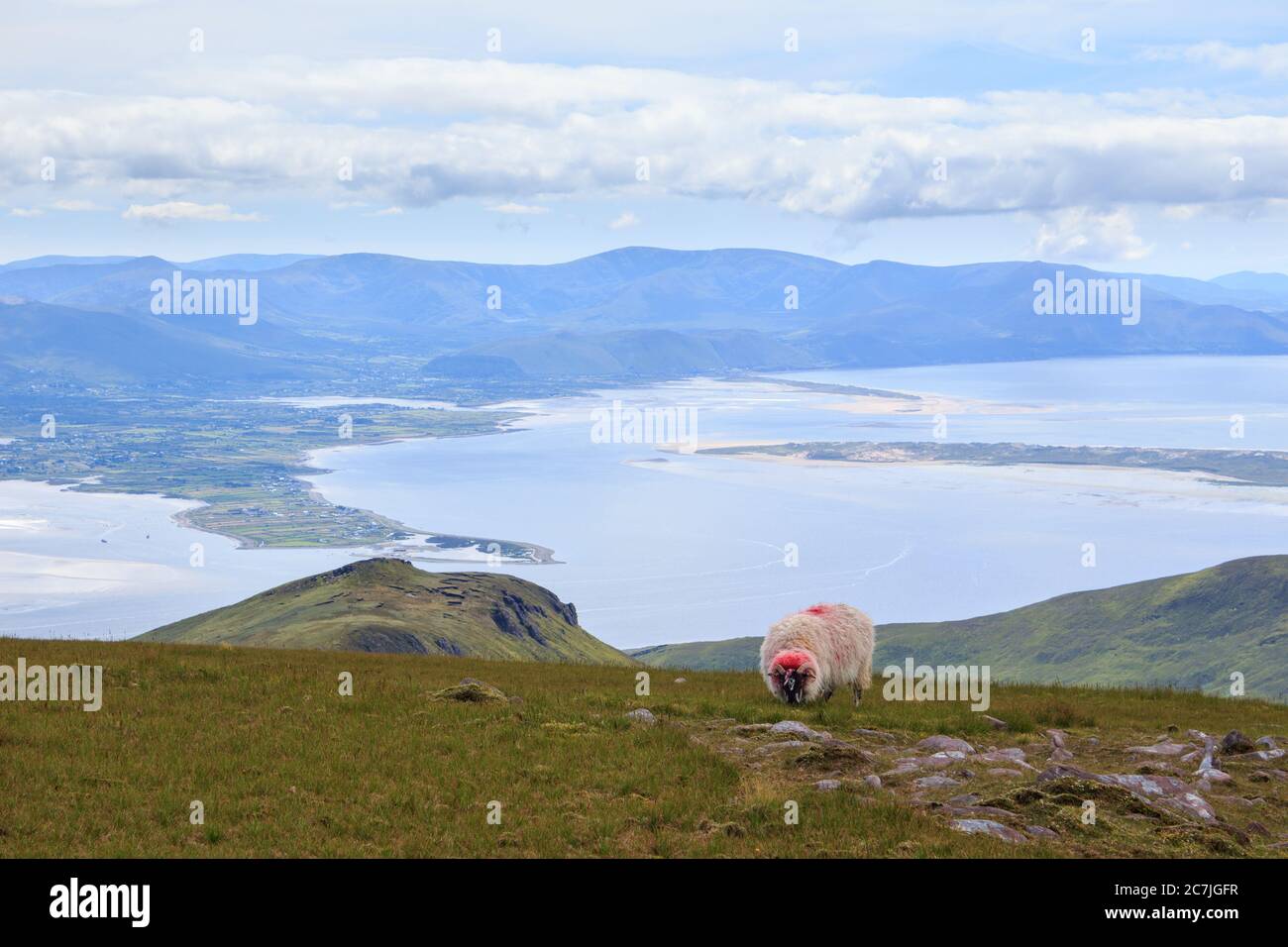 Castlemaine harbor hi-res stock photography and images - Alamy