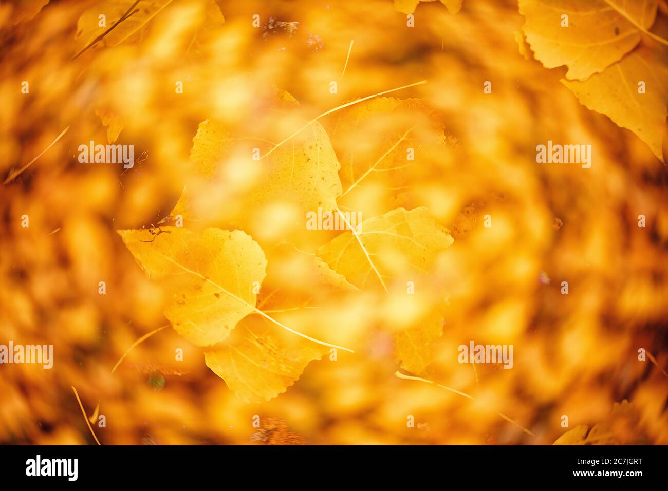 Cultivation field cuenca province hi-res stock photography and images ...