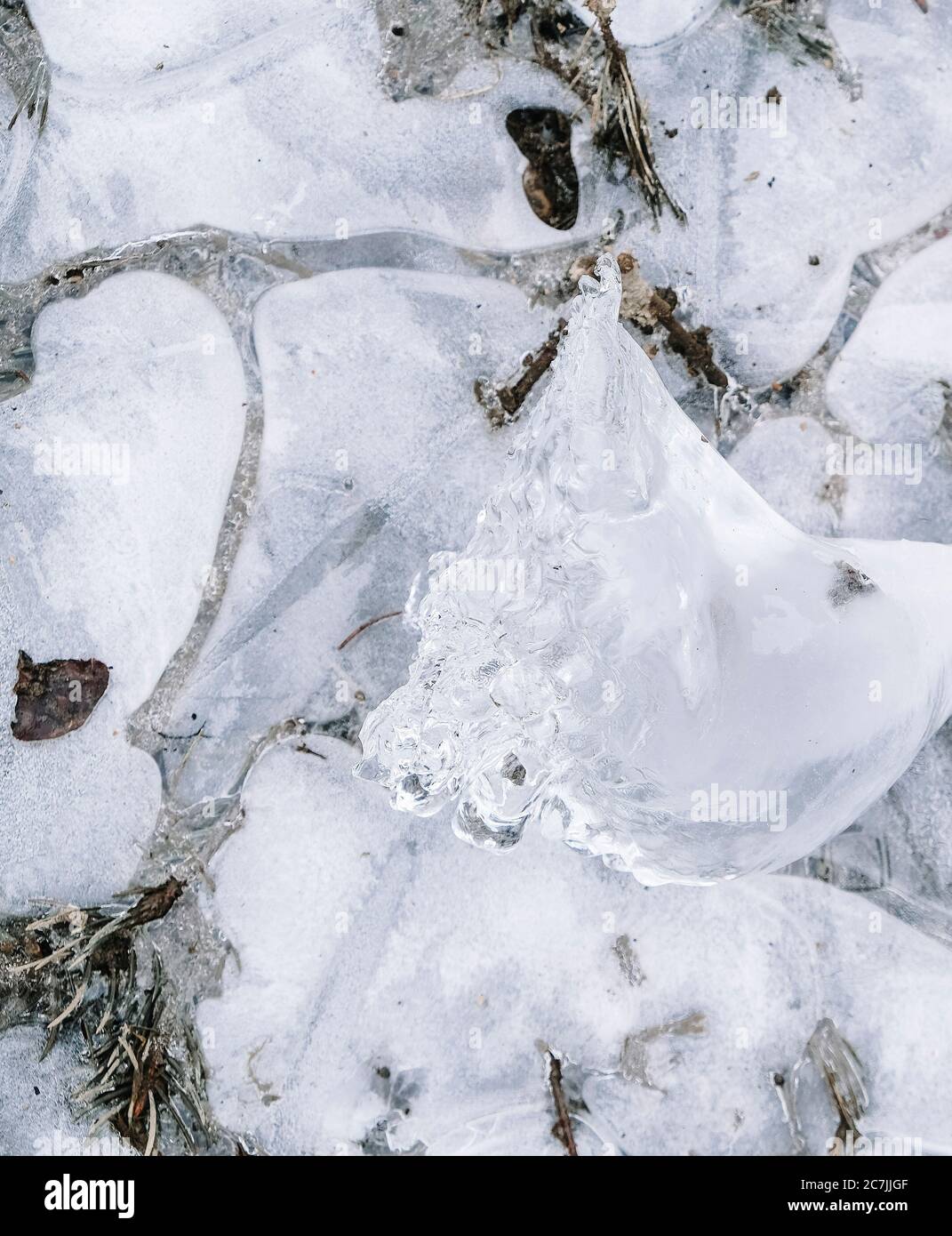 Nature, winter mood Stock Photo - Alamy