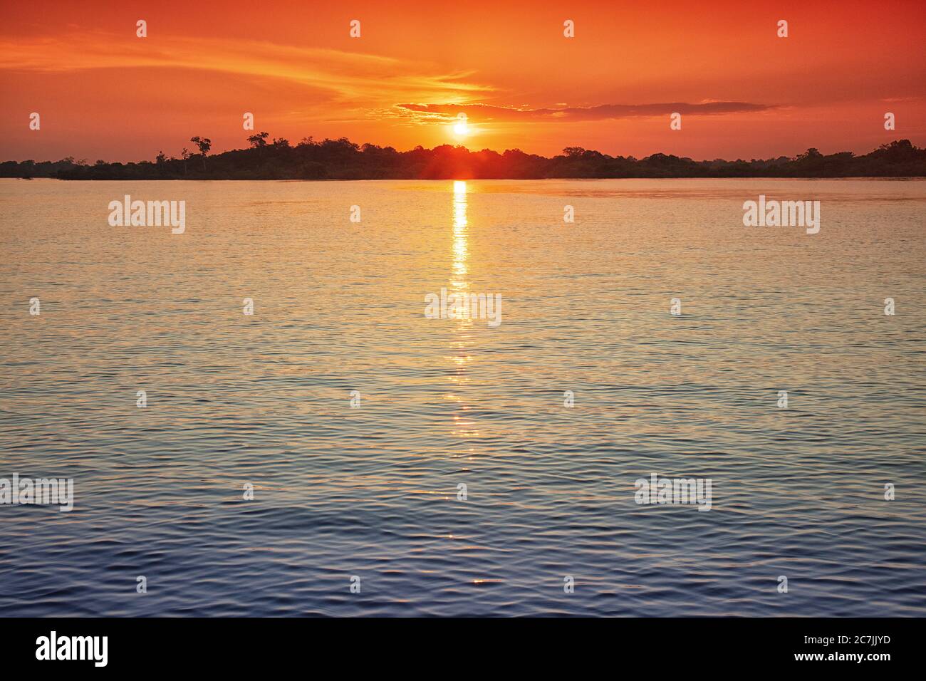 Manaus brazil amazon scenery hi-res stock photography and images - Alamy
