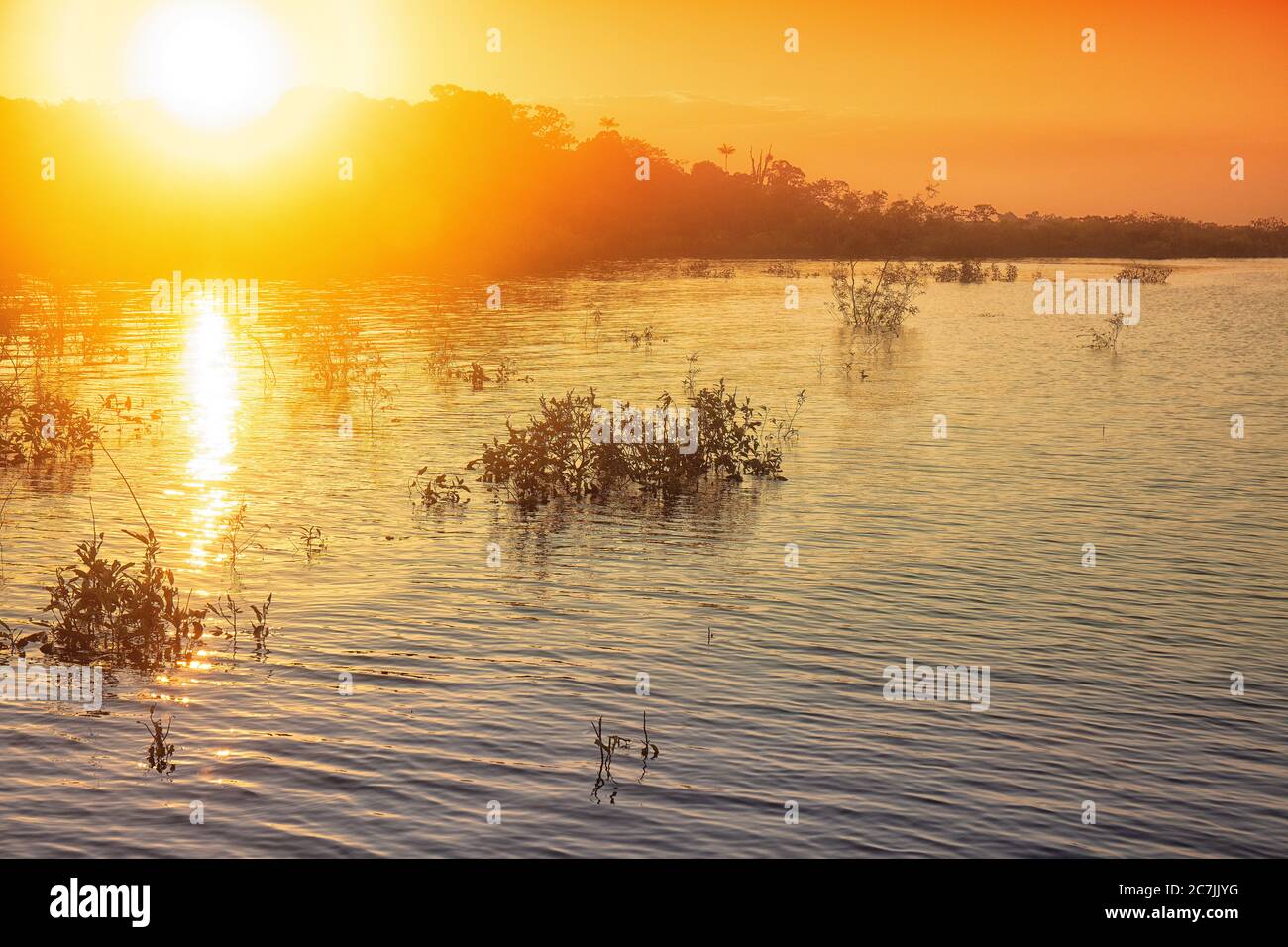 The amazon basin hi-res stock photography and images - Alamy