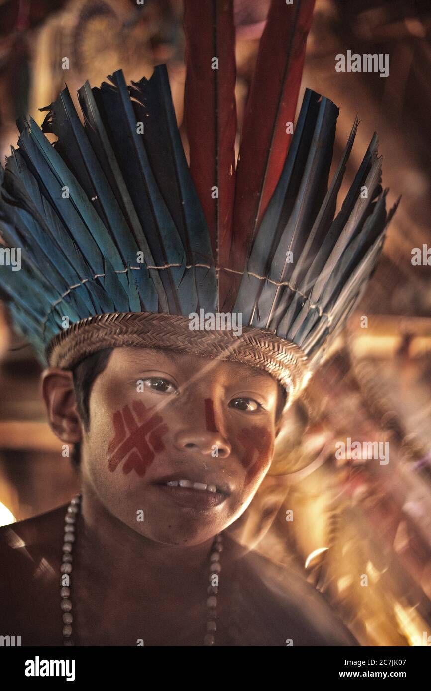 Brazilian amazon jungle hi-res stock photography and images - Alamy