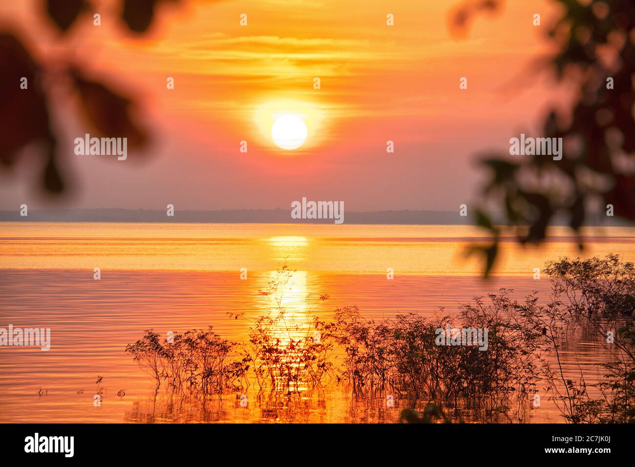 Manaus brazil amazon scenery hi-res stock photography and images - Alamy