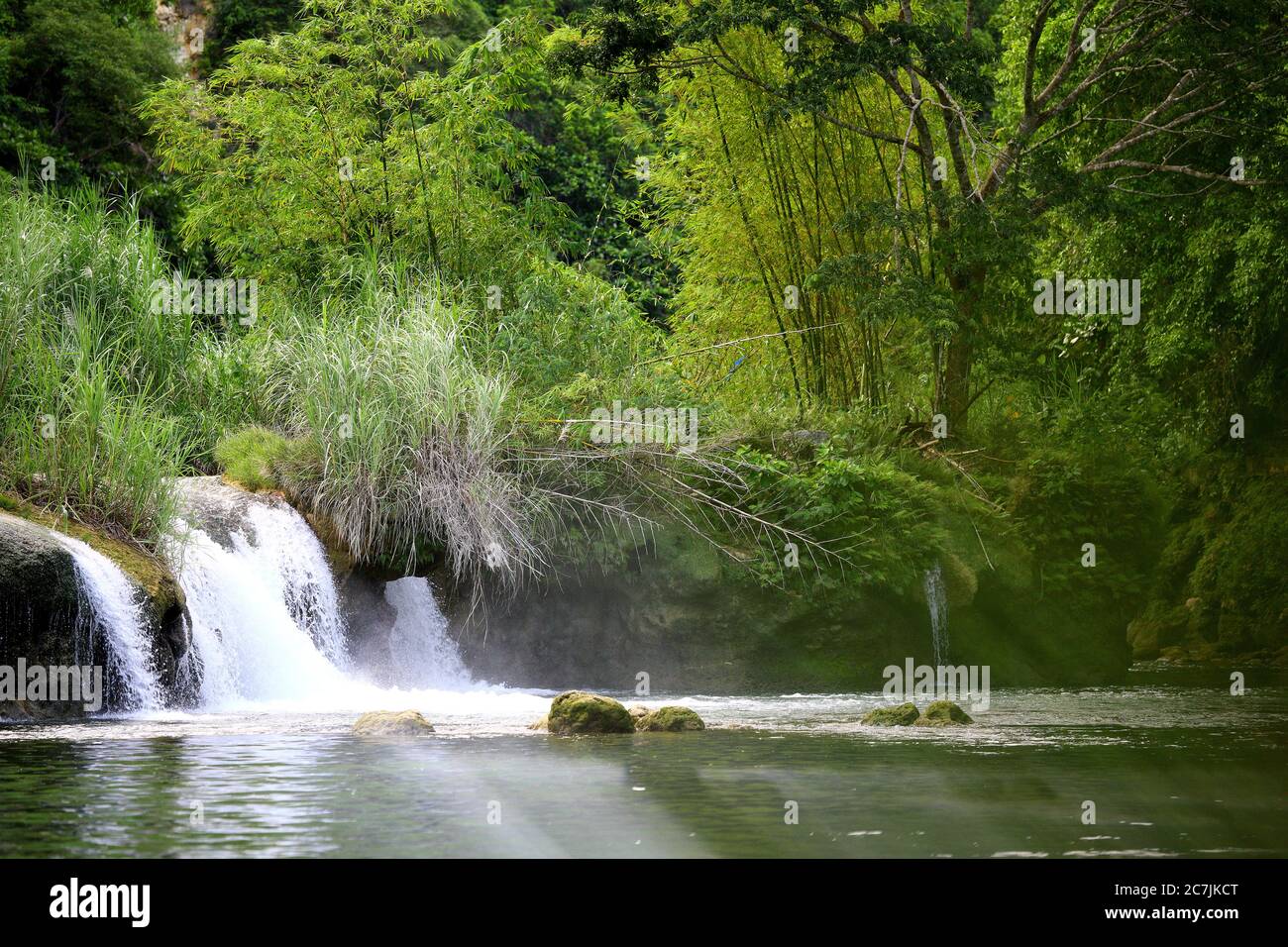 Beautiful waterfall in the green forest in the jungle, Waterfall with ...