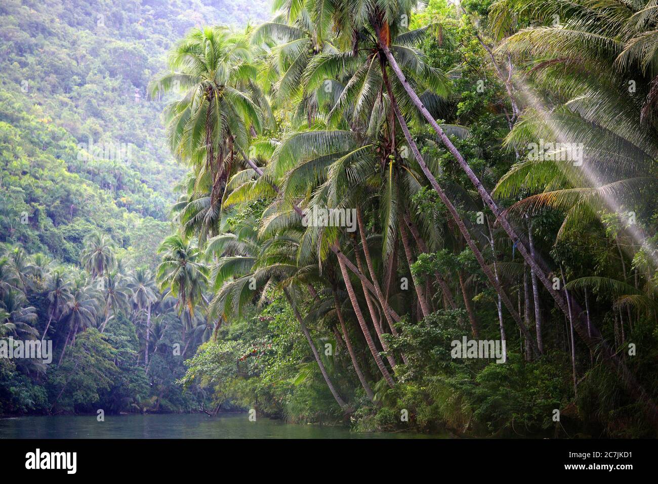 Loboc River, Bohol, Central Visayas, Philippines Stock Photo - Alamy