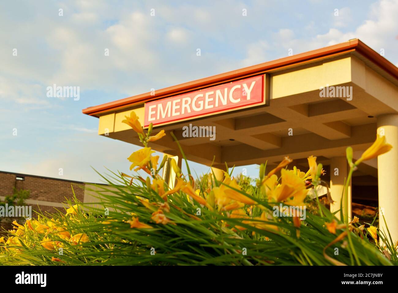 Emergency sign on a building surrounded by flowers under sunlight and a ...