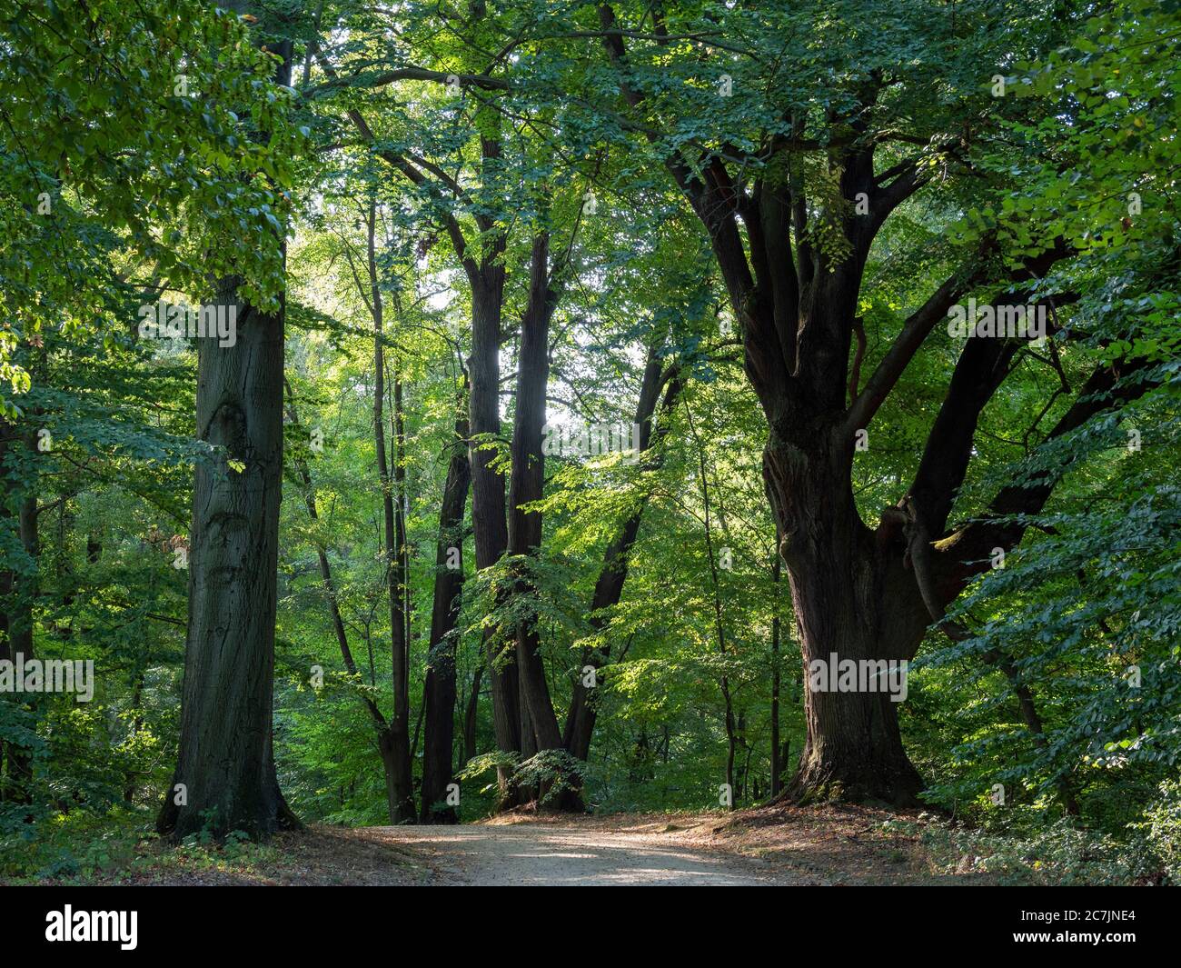 Muskauer Park, Polish side, UNESCO World Heritage Site, Bad Muskau ...