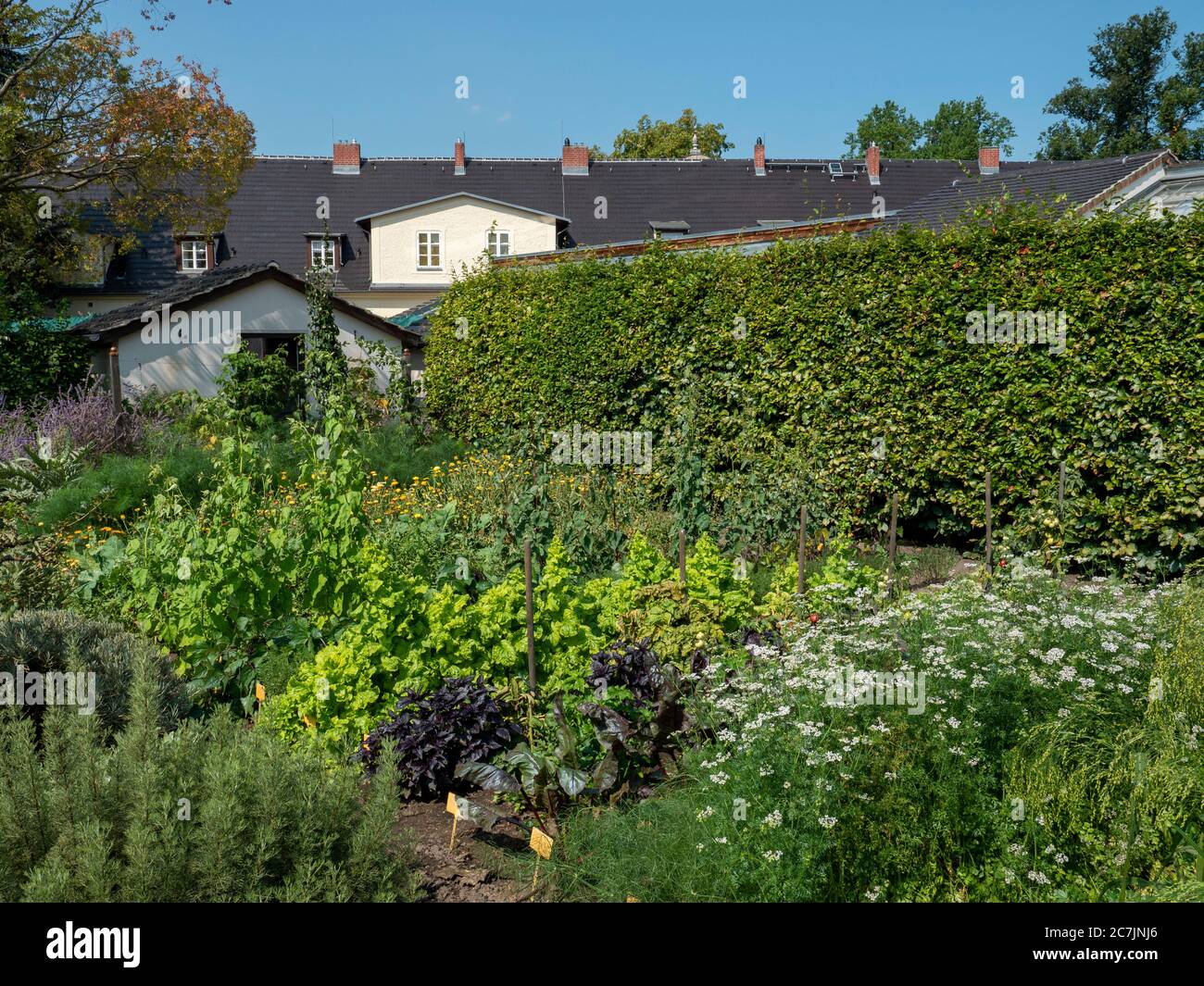 New castle, garden, Muskauer Park, UNESCO World Heritage Site, Bad ...