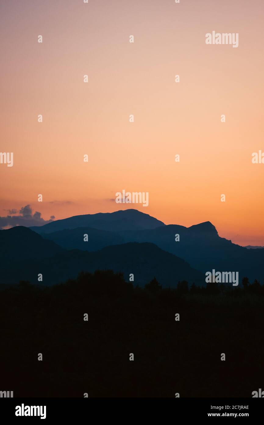 Vertical shot of a breathtaking sunset over the forest surrounded by ...