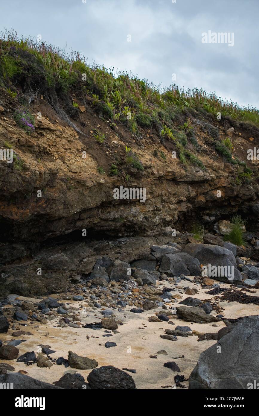 Vertical shot of a cliff covered with green grass near a lot of black ...