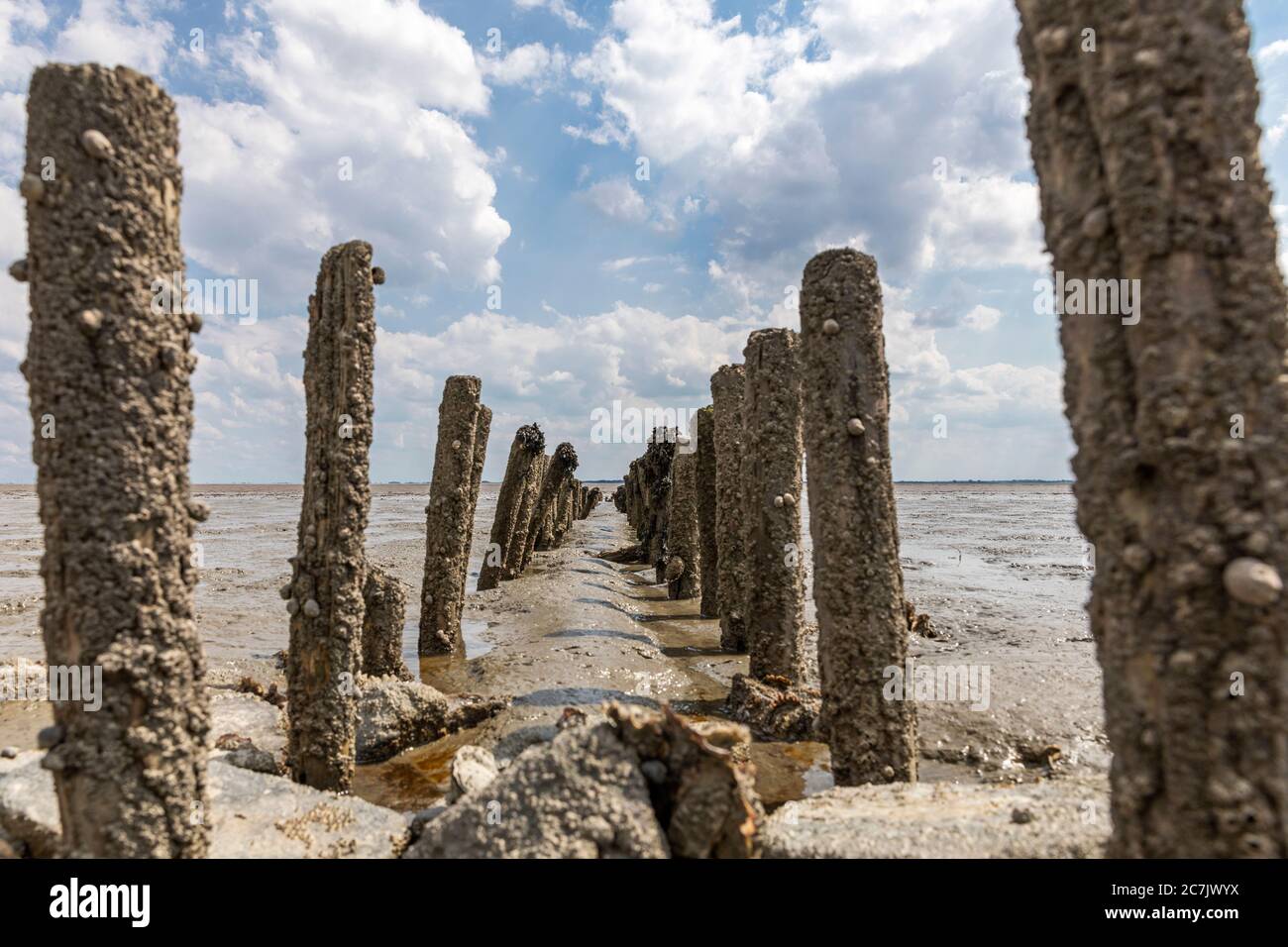 Land reclamation north sea hi-res stock photography and images - Alamy
