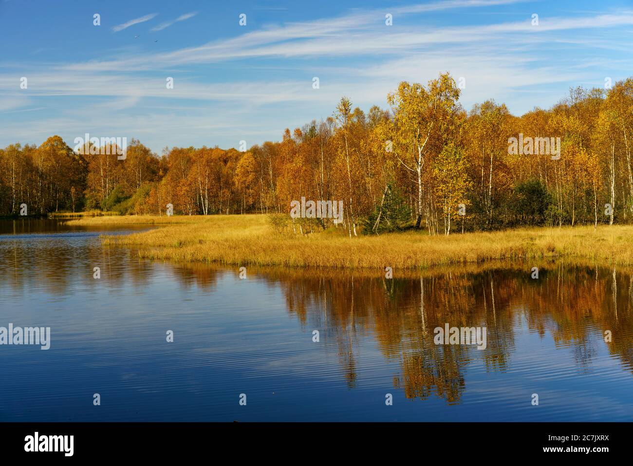 The "Rotes Moor" nature reserve in the Rhön Biosphere Reserve, Hesse ...