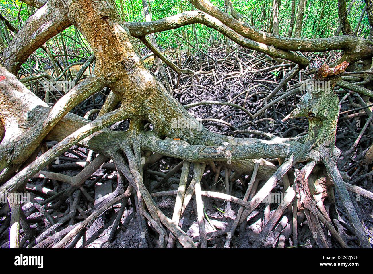 African square hi-res stock photography and images - Alamy