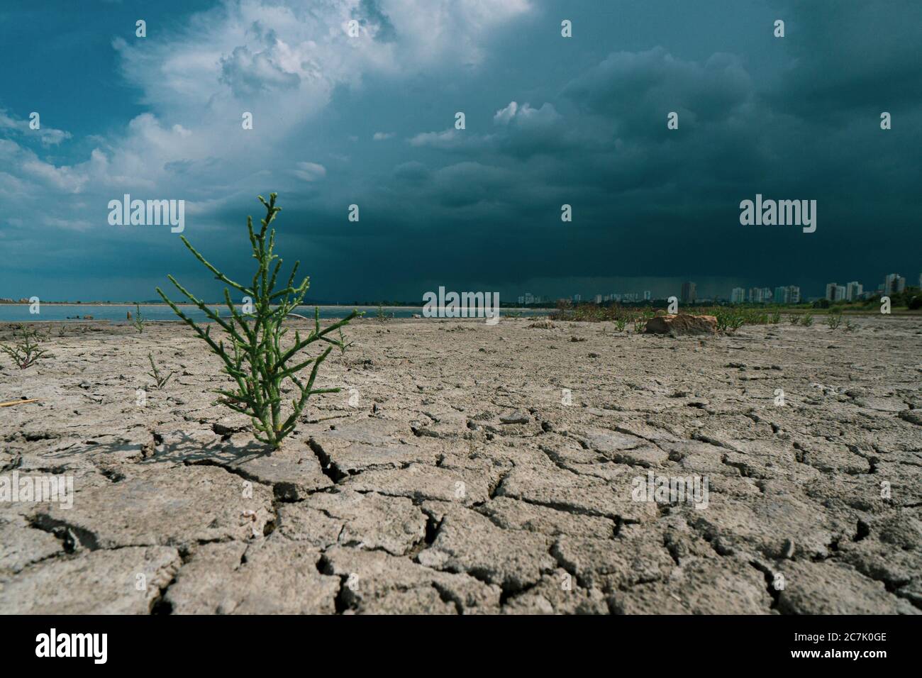 Soil depletion hi-res stock photography and images - Alamy