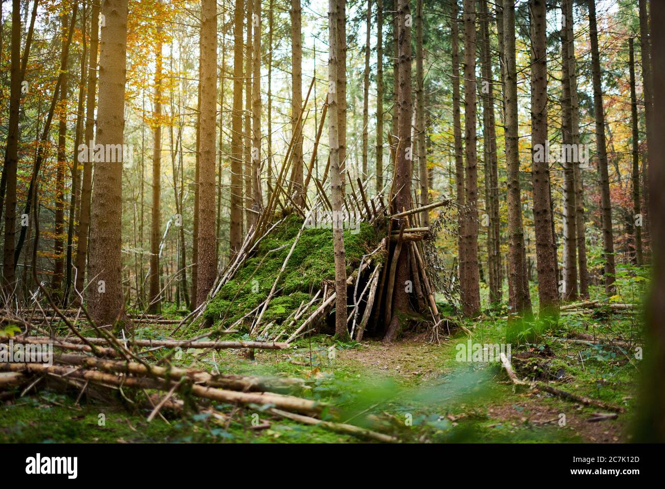 Green hut in forest hi-res stock photography and images - Alamy