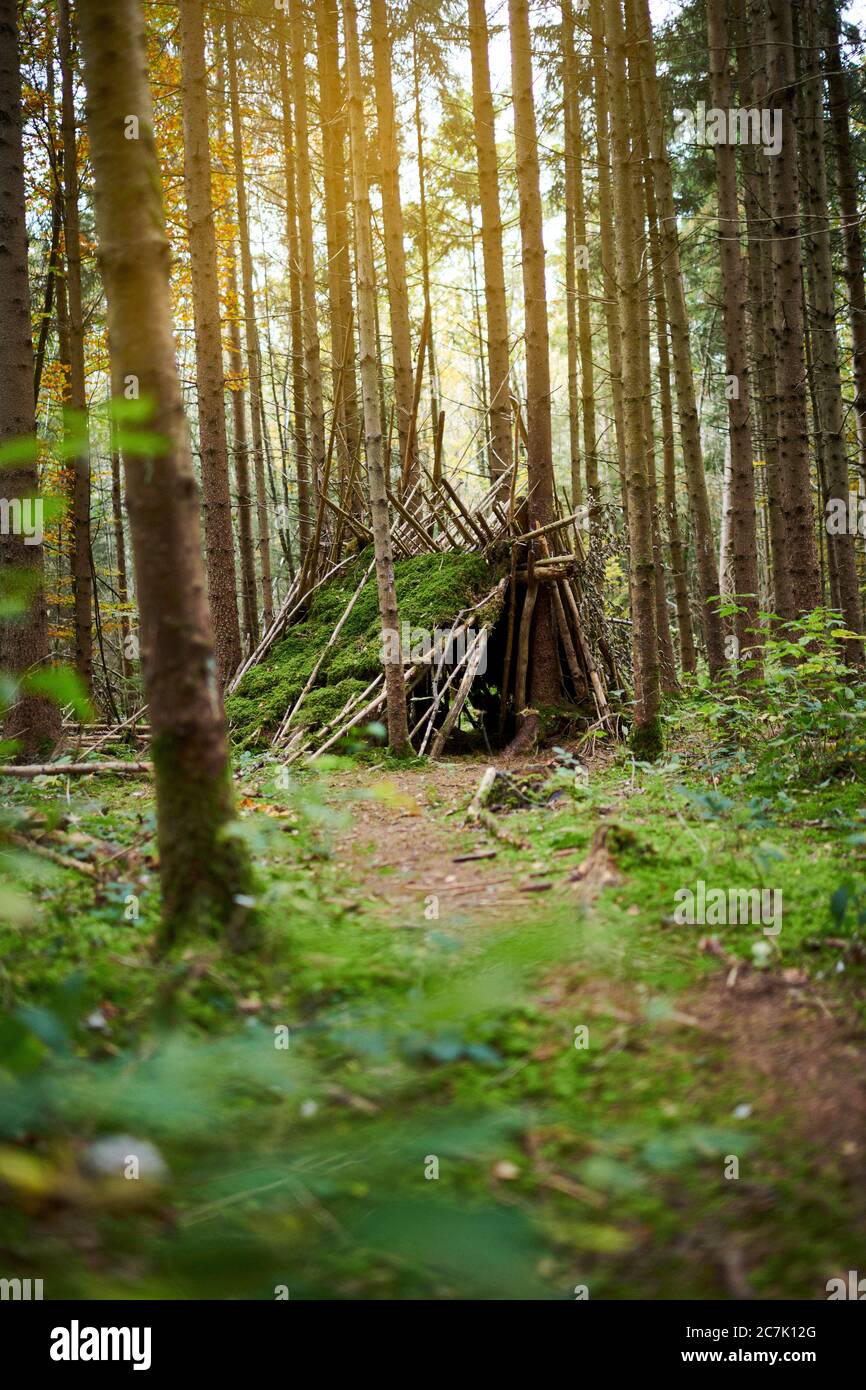 Forest green autumn hi-res stock photography and images - Alamy