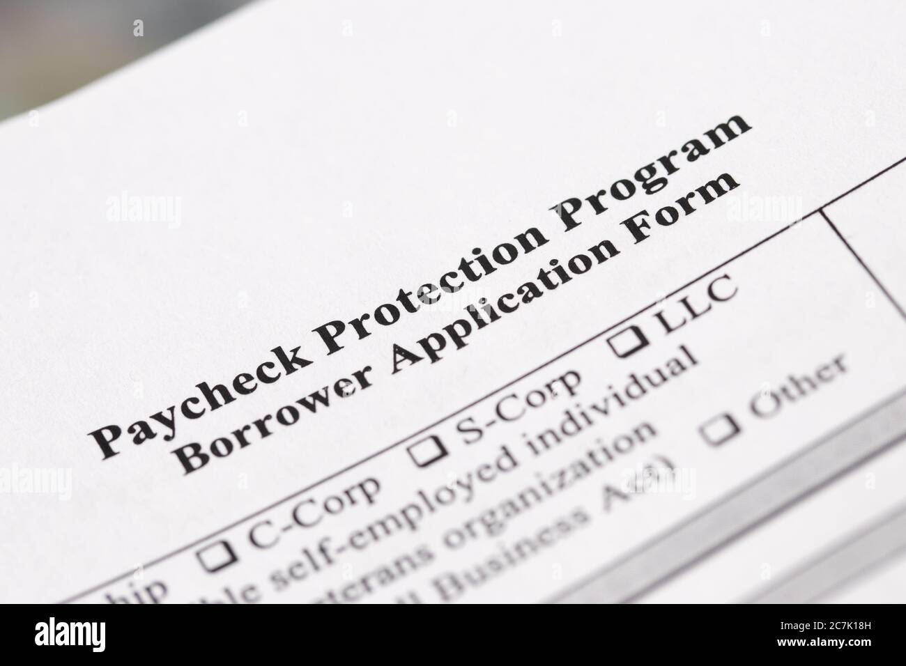 Paycheck Protection Program Borrower Application Form Stock Photo - Alamy