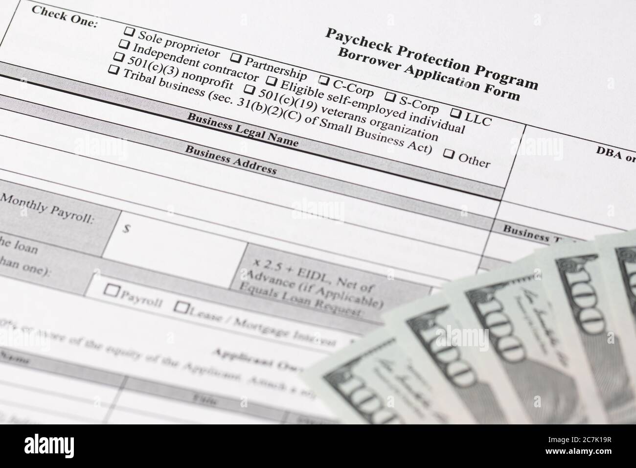 Paycheck Protection Program Borrower Application Form Stock Photo - Alamy