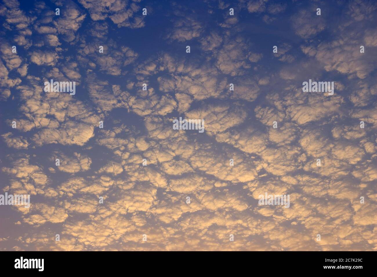 Gray and white clouds look like sheep's wool or waves Stock Photo - Alamy