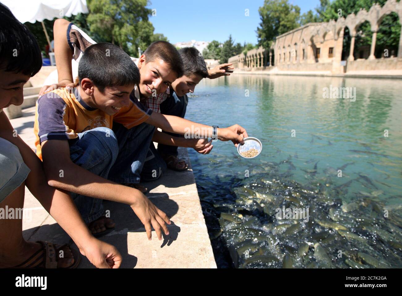 Kurdish boys feed the sacred fish at Balikli Gol (Pool of Sacred Fish ...