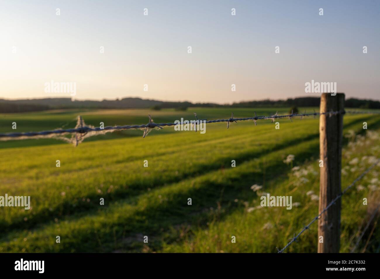 Beautiful scenery of a greenfield in the countryside in the Eifel ...