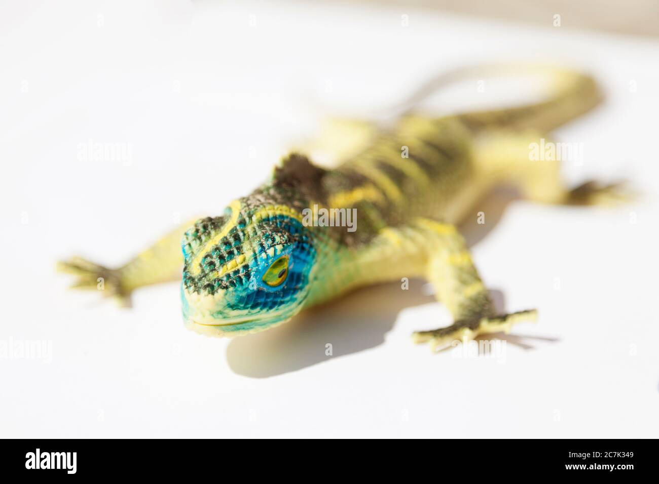 plastic lizard lying on light background and sunbathing Stock Photo - Alamy