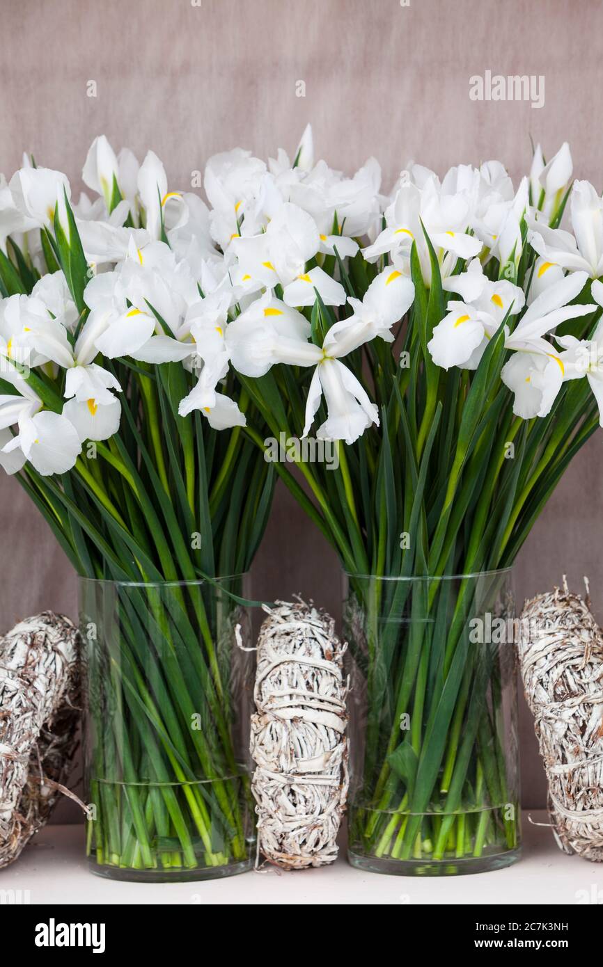 two Iris bouquets in flower vases Stock Photo - Alamy