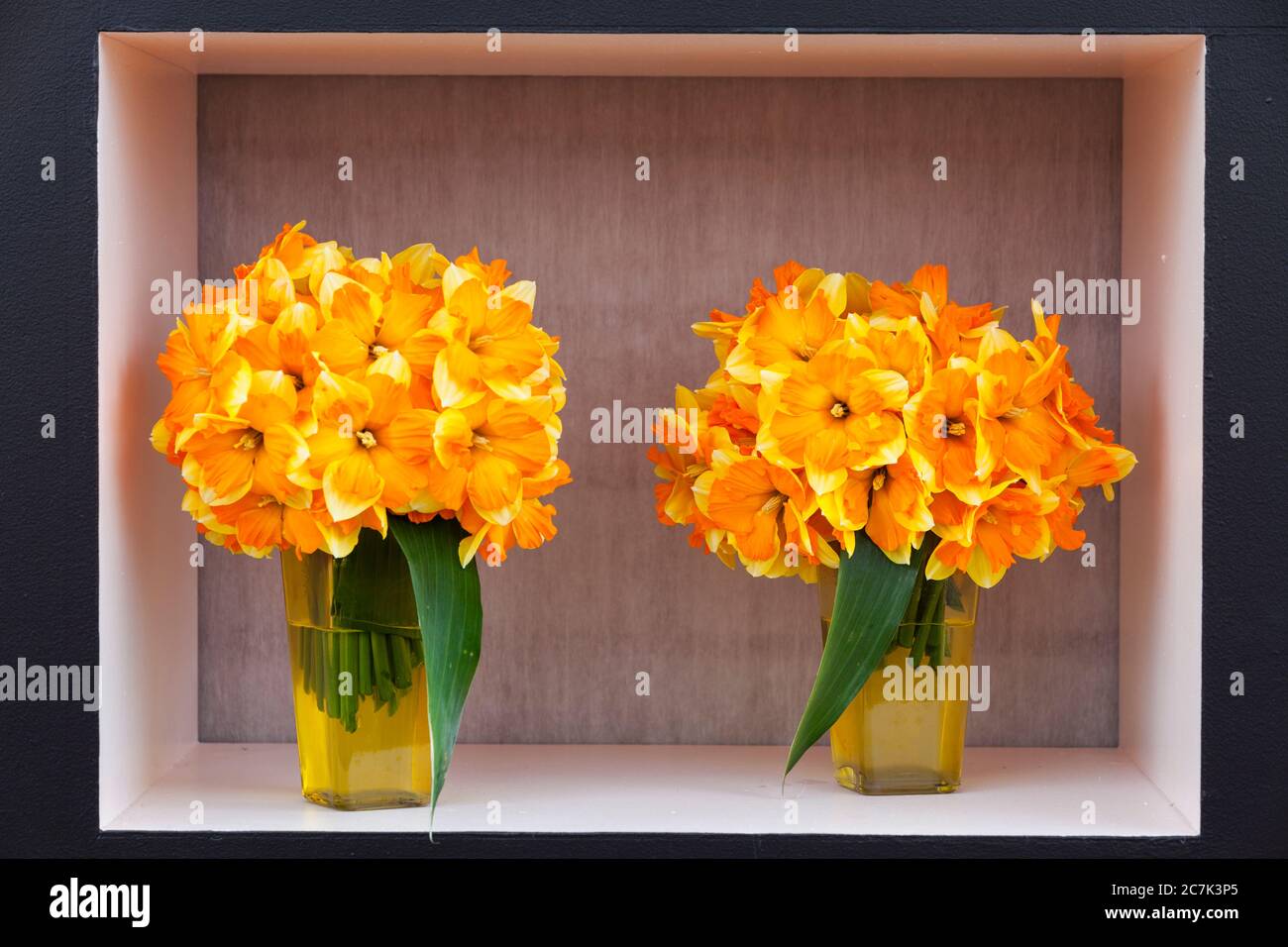 Spring two garden vases hi-res stock photography and images - Alamy