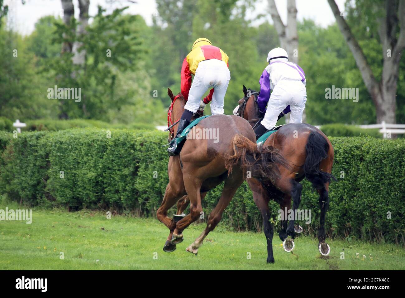 Gallop racing hi-res stock photography and images - Alamy