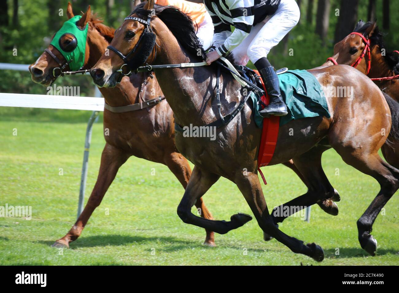 Detail view of a gallop race Stock Photo - Alamy