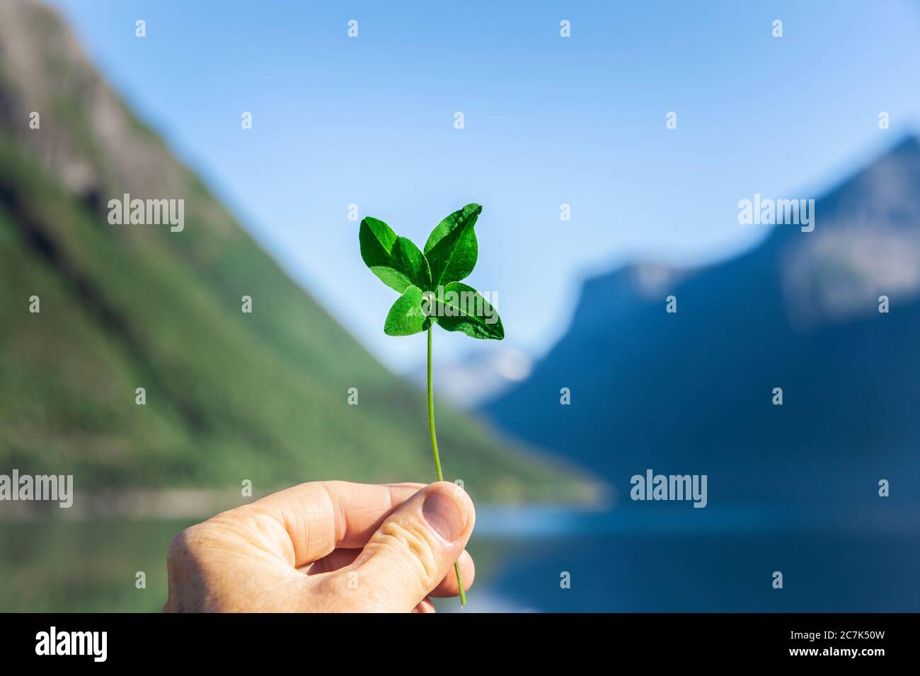 Outdoor leaf landscape hi-res stock photography and images - Alamy