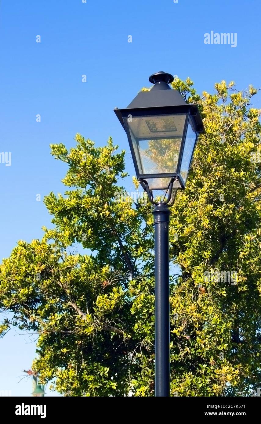 Vertical shot of a street light with the trees in the background Stock ...