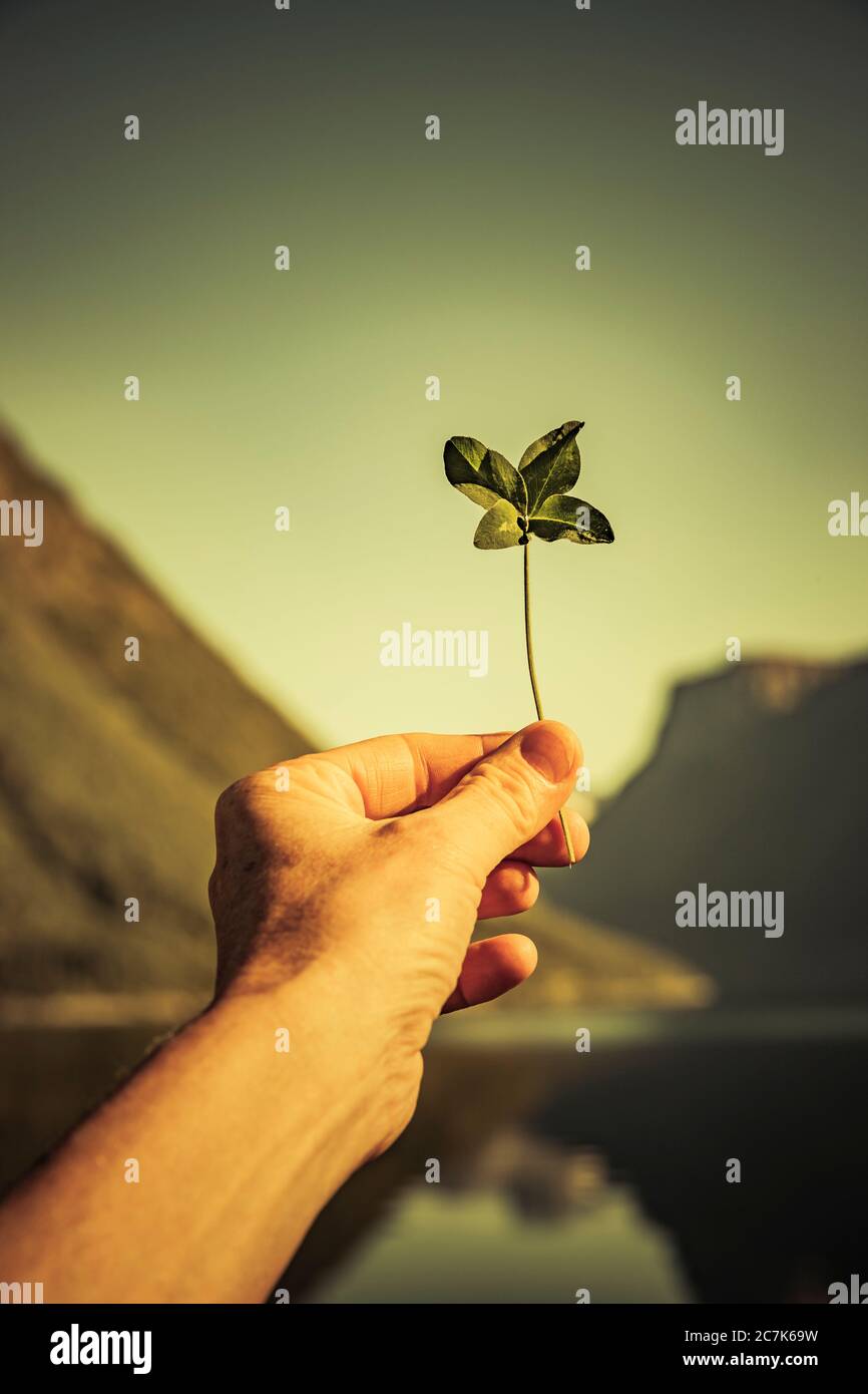 Hold a leaf hi-res stock photography and images - Alamy