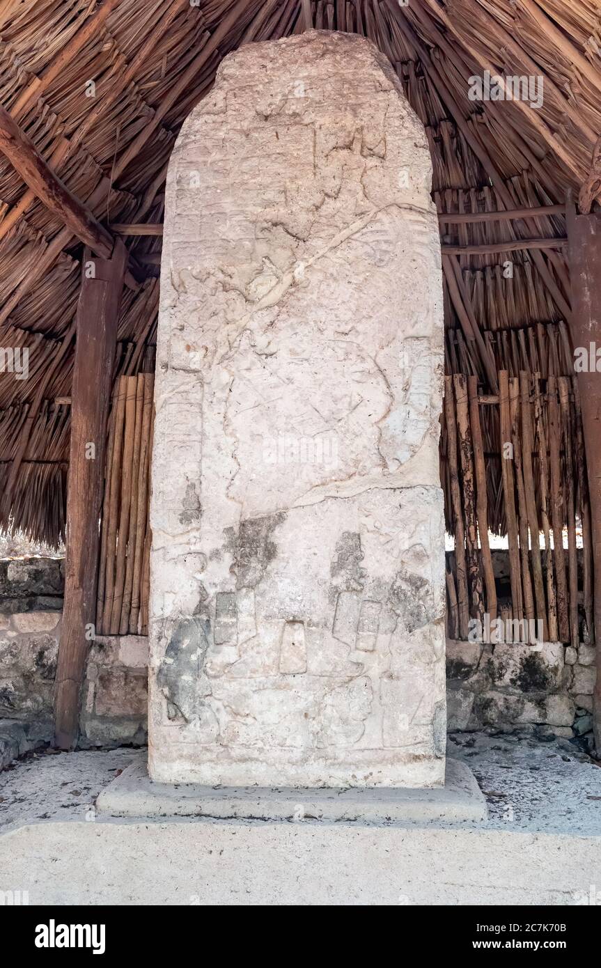 Mayan stela at Coba, Mexico ruins. Many stela were carved from ...
