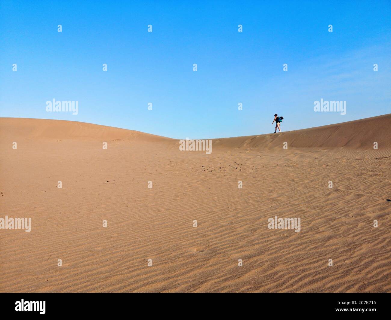 Death of a sand dune hi-res stock photography and images - Alamy