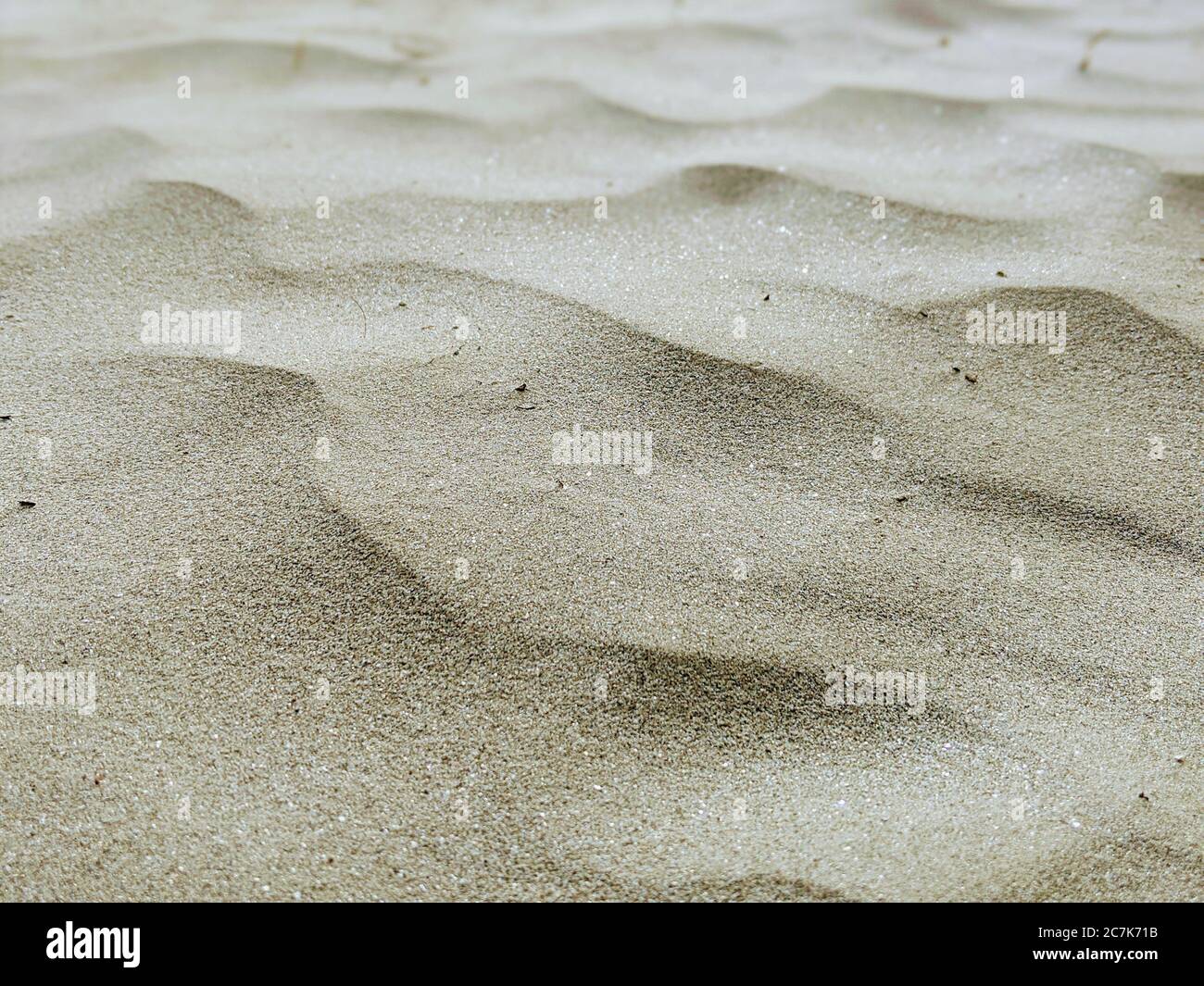 We are grains of sand hi-res stock photography and images - Alamy