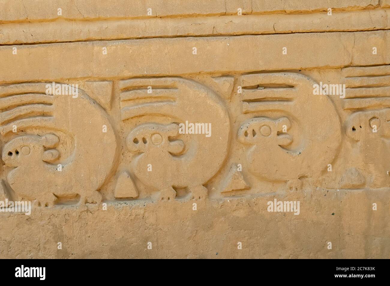 Detail of an adobe wall with animal design in the Chan Chan pre ...