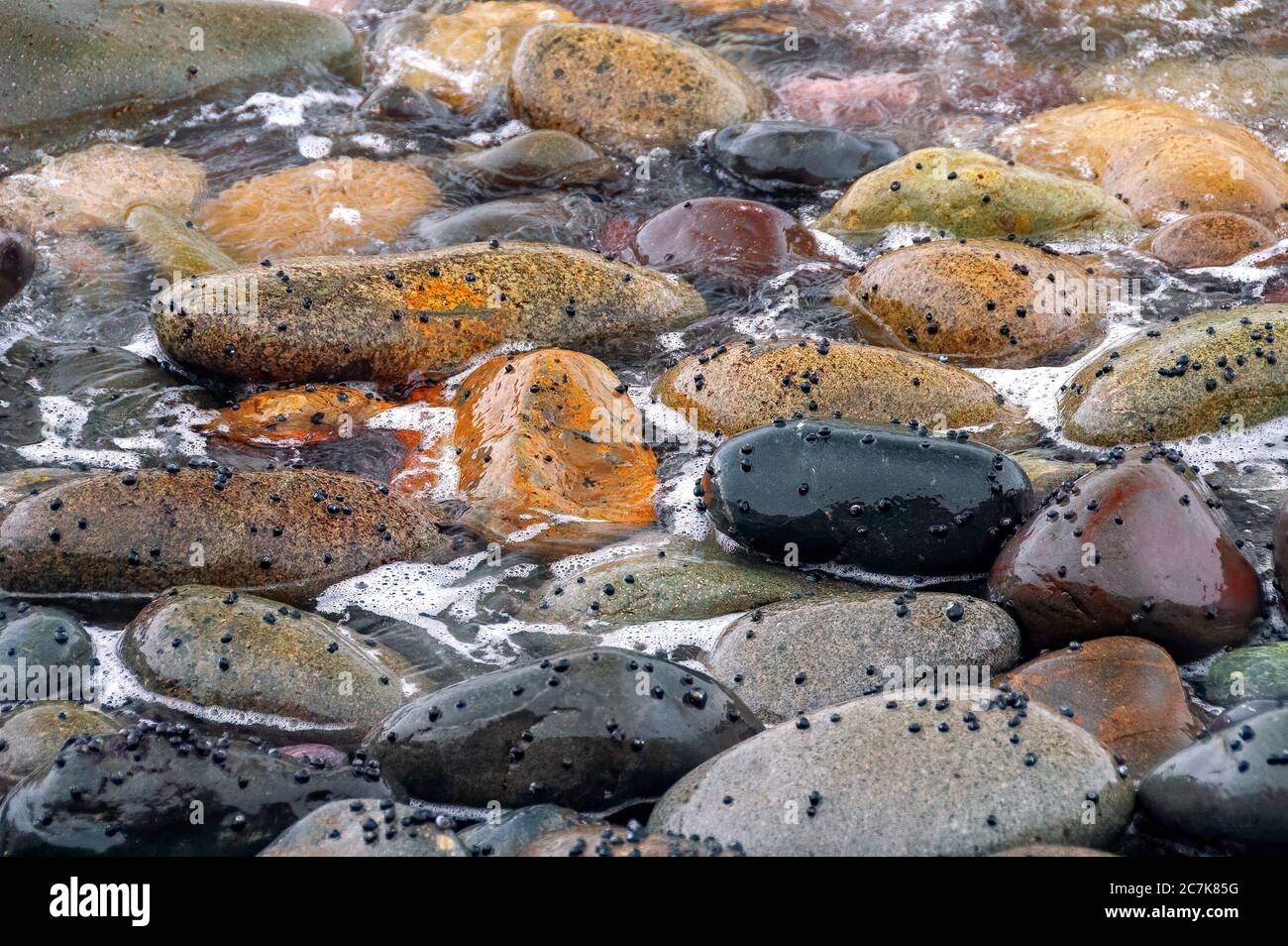 Closeup of rounded beach rocks in the surf, with small black gravel ...