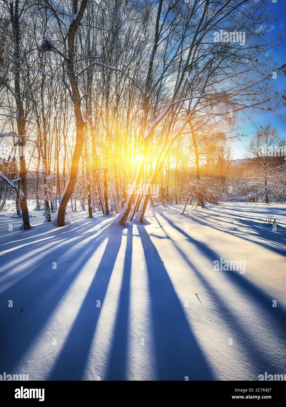 Hdr woods trees sun sky hi-res stock photography and images - Alamy