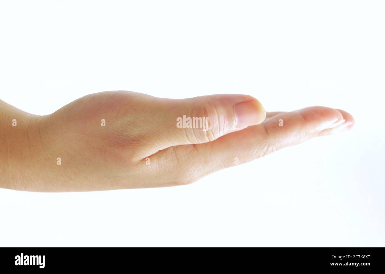 Hand Drawn Sketch Set of Open Empty Hand Reaches Out Against Isolated ...