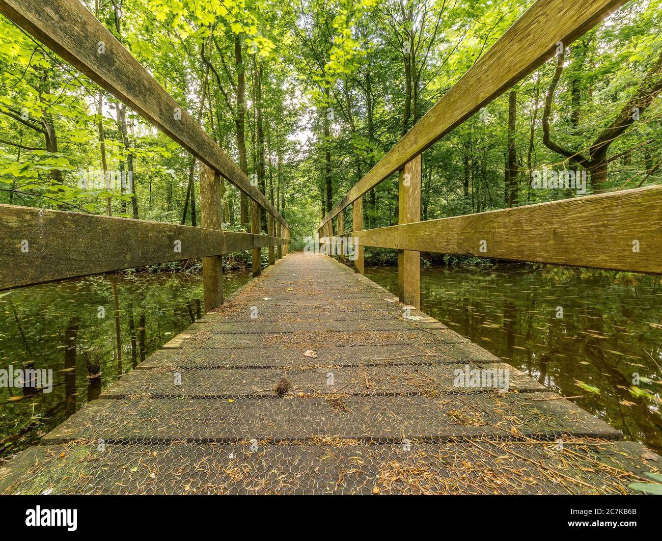 Wooden pathway above the water with green trees in the distance in the ...