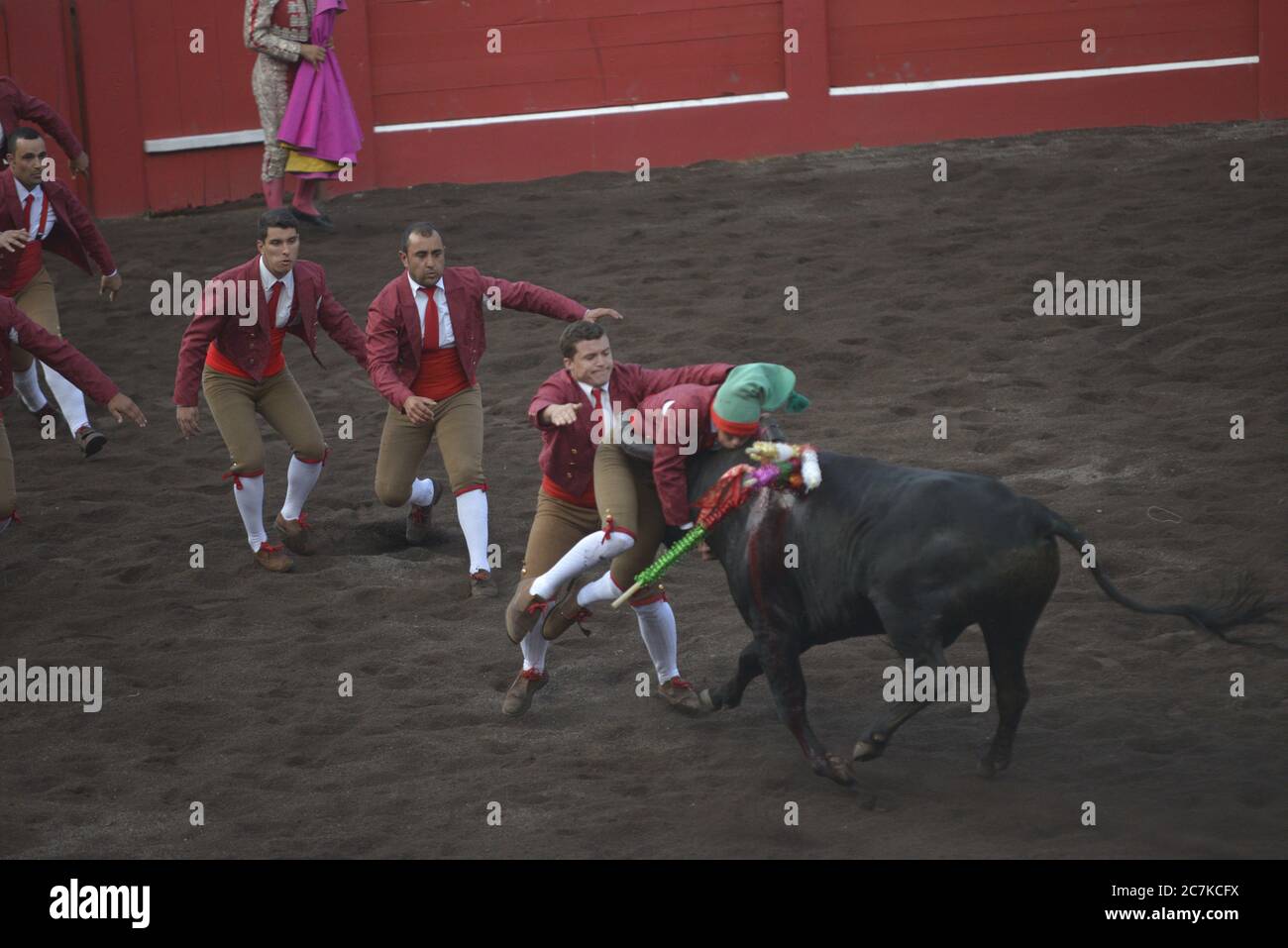 Bull figthing hi-res stock photography and images - Alamy