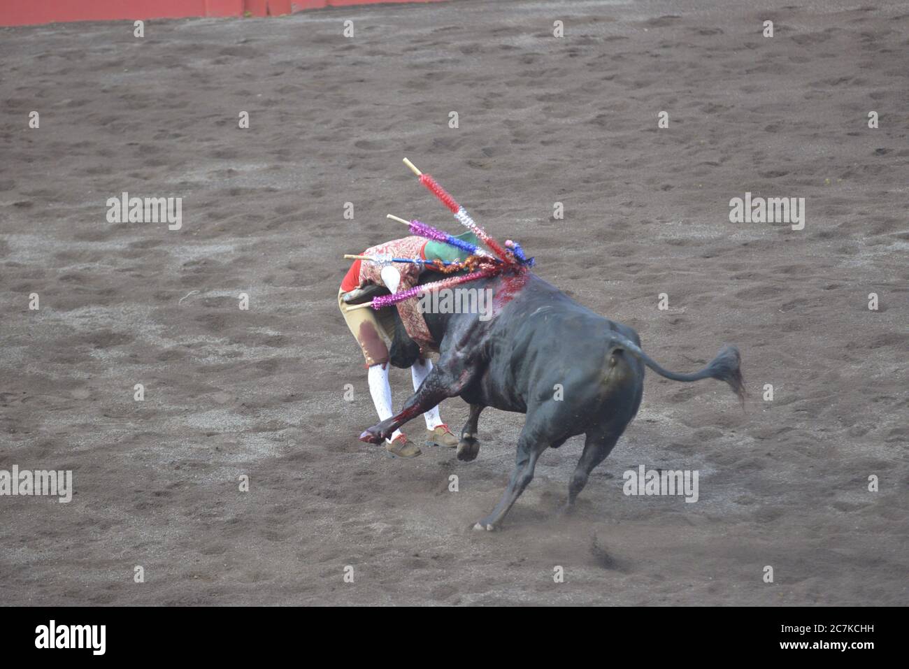 Azores bullfighting hi-res stock photography and images - Alamy